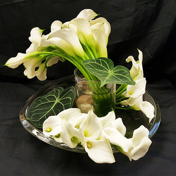 Cascading Callas - David Kurio Designs